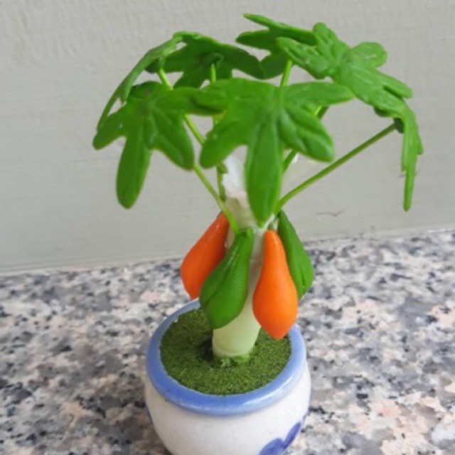 3-Inch Mini Tree Papaya Pomegranate Pineapple Pot Curry Chaba Rice ...