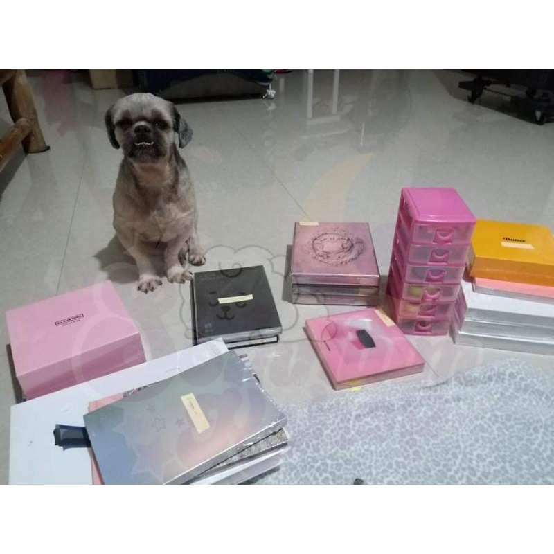 NETA B1 UN/SEALED co. | Shopee Philippines