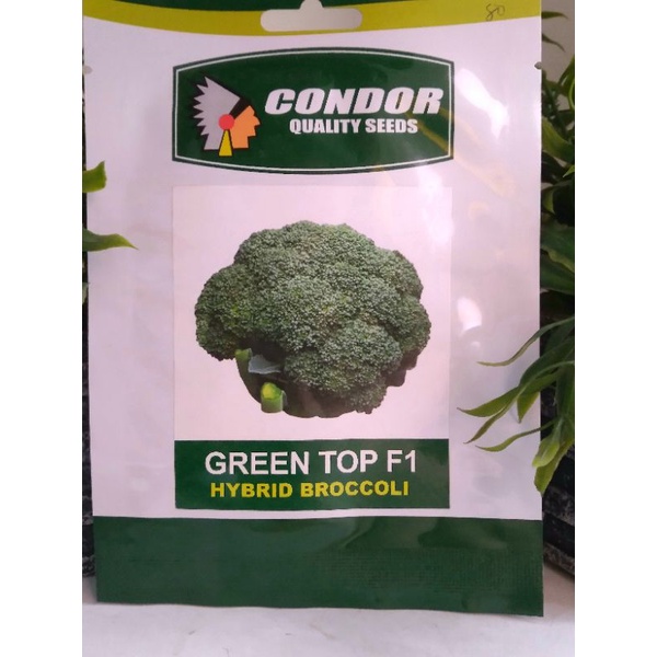Green Top F1 Hybrid Broccoli Condor ( 0.5gram ) | Shopee Philippines