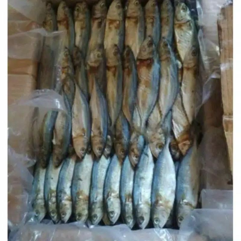 Gerih salted fish / fried tall raw peda fish 100 grams | Shopee Philippines