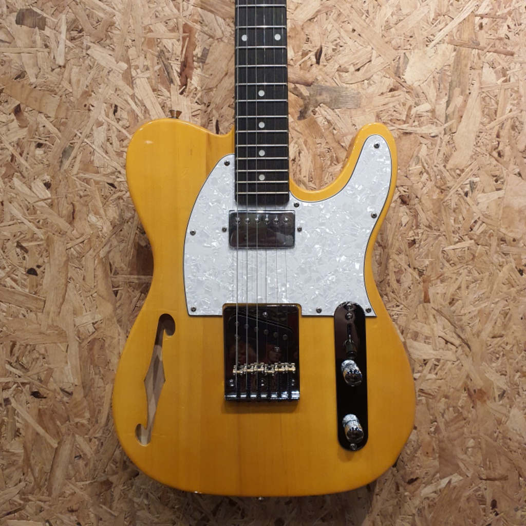 Sqoe Telecaster Thinline Electric Guitar Stratocaster TL Wings Wings ...