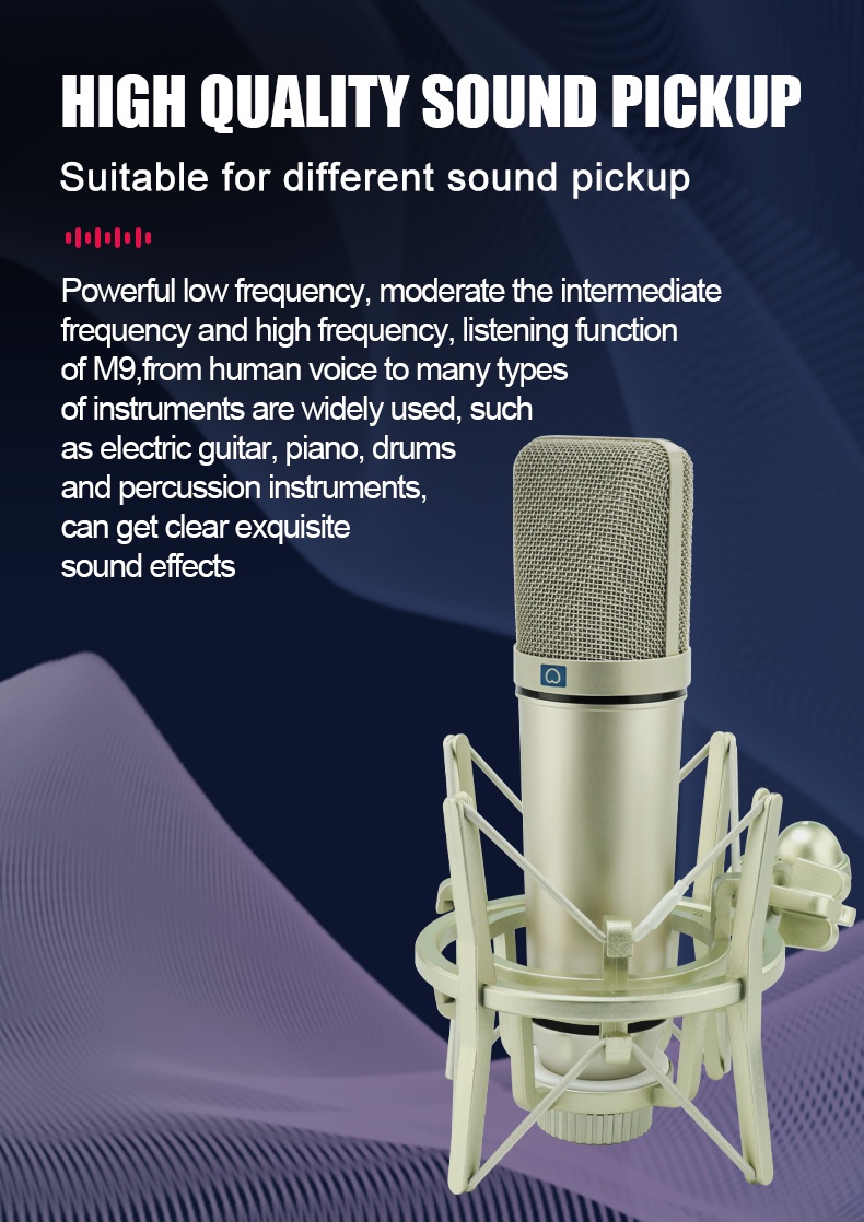 RAYHAYES Condenser microphone for professional studio Singer/microphone ...