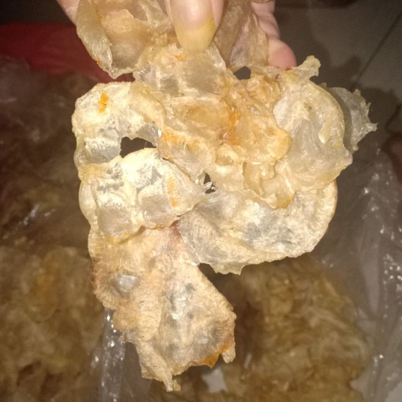 Hipio / Original Dry Fish Belly From Manyung Fish (100Gram) | Shopee ...