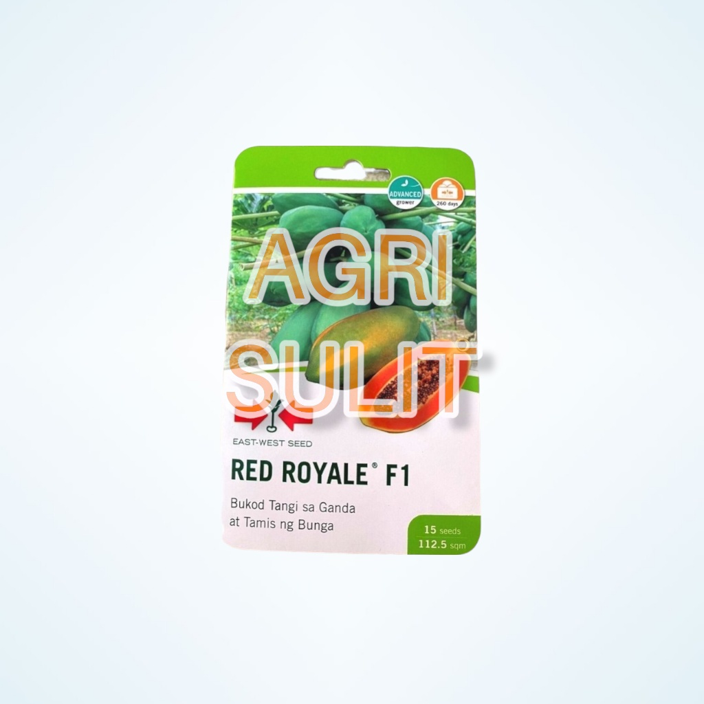 Red Royale F1 Papaya 15 seeds (East West) | Shopee Philippines