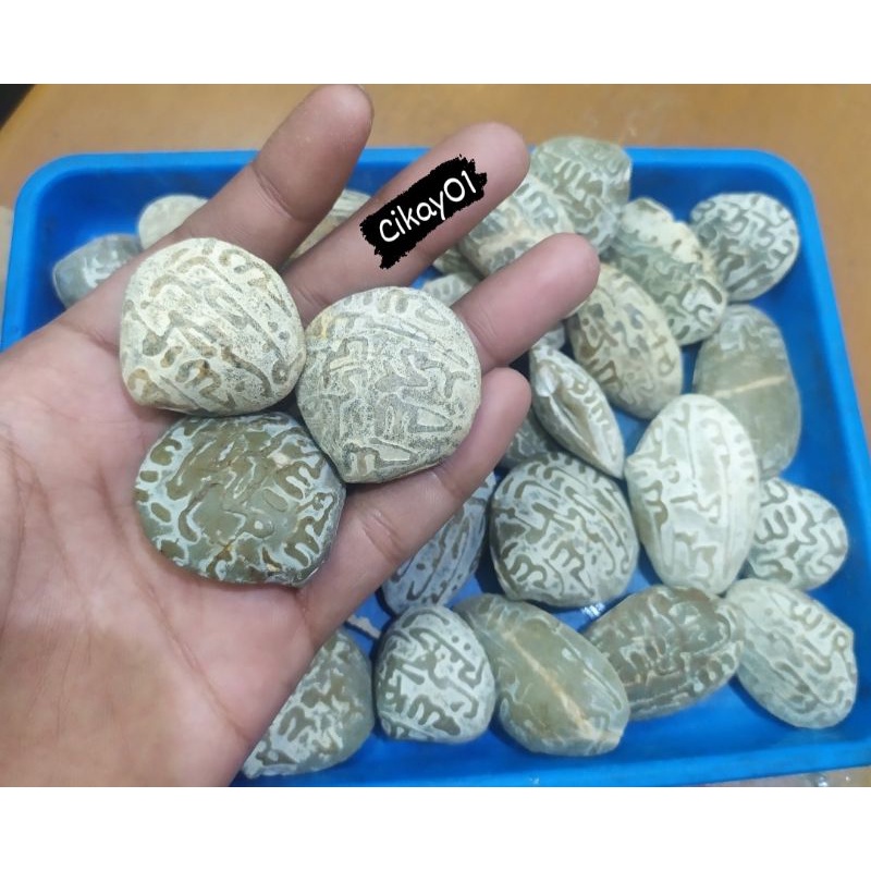 Arabic Calligraphy Shells Antique Goods | Shopee Philippines