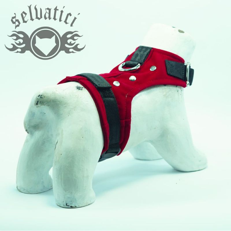 Herness Vest HARNESS Animal Guide Leash For Weasel Cat OTTER Rabbit And ...