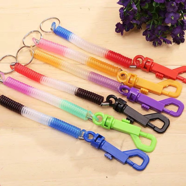 12pcs/pack mixed color plastic hook spring rope key chain | Shopee ...