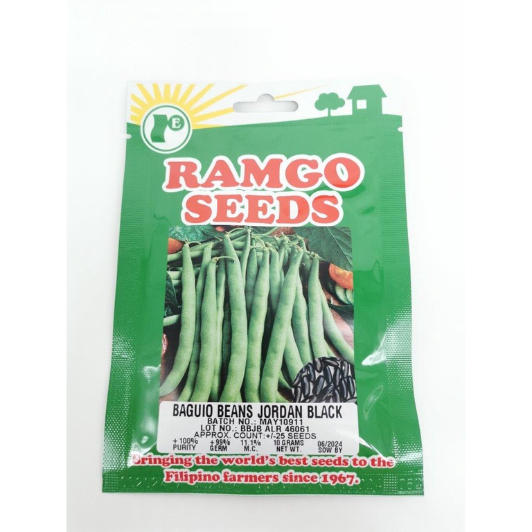 RAMGO BAGUIO BEANS JORDAN BLACK SEEDS ( ORIGINAL GARDEN PACK ) | Shopee ...
