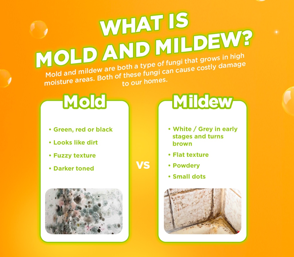 Mr. Muscle Mold & Mildew Starter Pack | Shopee Philippines