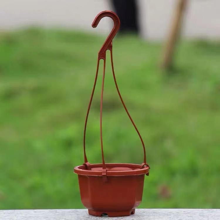 Mini & Small Octagon Size Succulent Hanging Pots | Shopee Philippines