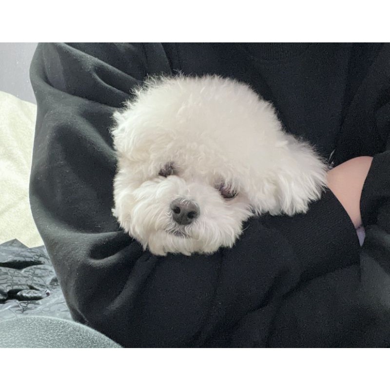 super cutie daegal na natutulog | Shopee Philippines