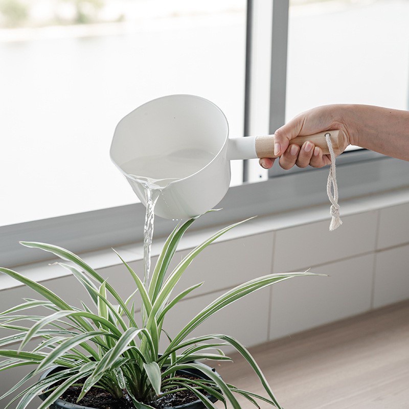 Mylife Water Dipper With Wooden Handle Tabo Water Scoop Water Scooper ...