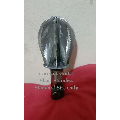 Coconut Grater Blade Stainless Standard Size Only | Shopee Philippines