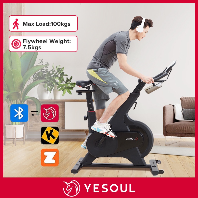 Xiaomi Yesoul Spinning Bike Smart Magnetic Resistance Indoor Stationary Exercise Cycling Bike ...