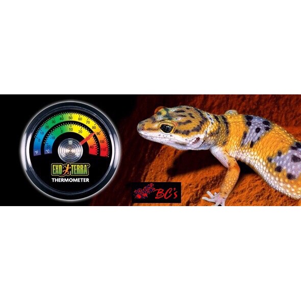 Exo Terra THERMOMETER / ANALOG THERMOMETER | Shopee Philippines