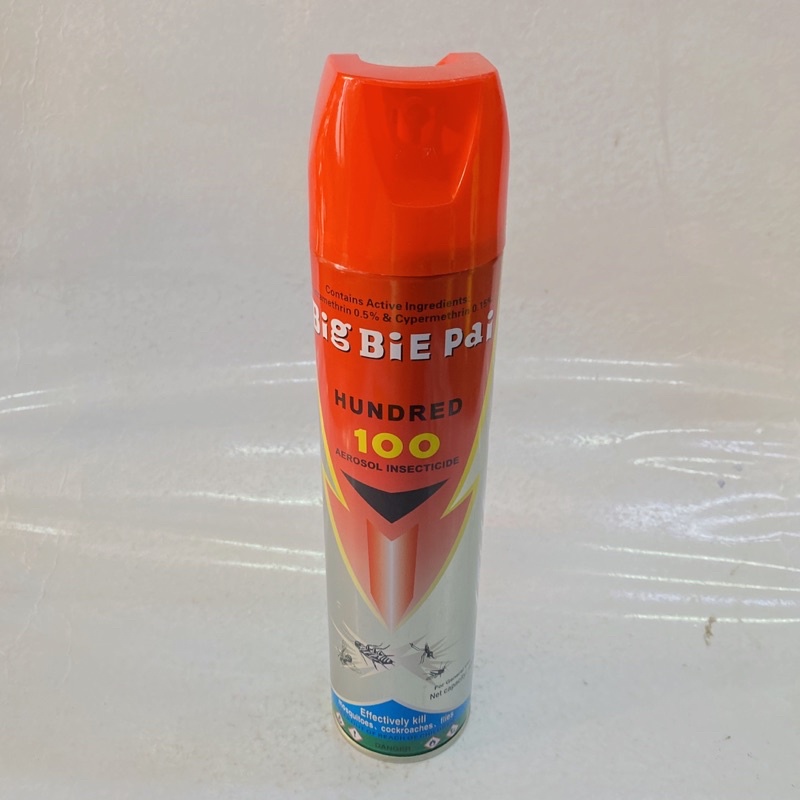 Big Bie Pai hundred aerosol insecticide 400ml | Shopee Philippines