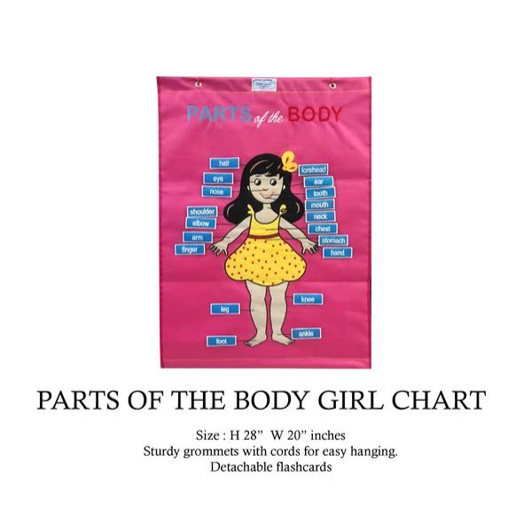 PARTS OF THE BODY (GIRL) CLOTH CHART BY CHARTS UNLIMITED | Shopee ...