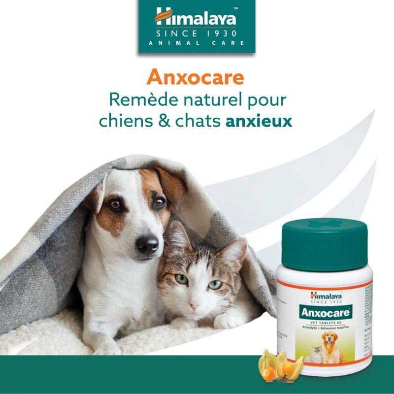 Himalaya Anxocare- Treats Anxiety and Stress of pets (60tabs) | Shopee ...