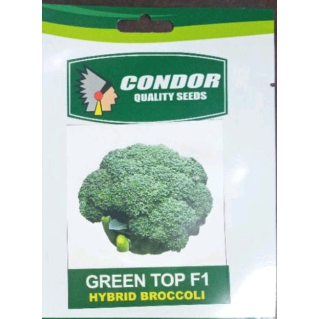 GREEN TOP F1 HYBRID BROCCOLI 0.5 GRAM OR 150 SEEDS (CONDOR) | Shopee ...