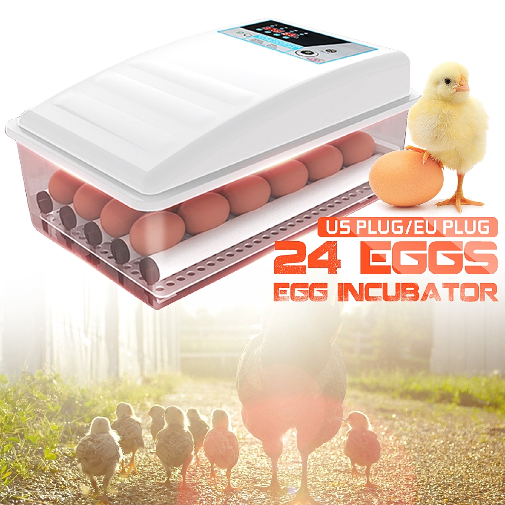 available eggs automatic incubator thermostatic chicken hatching ...