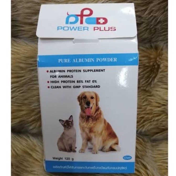 Power Plus Pure Albumin Protein Powder 120g (Exp.05/2026) | Shopee ...