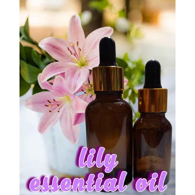 Lily Essential Oil (oil and water-soluble) | Shopee Philippines