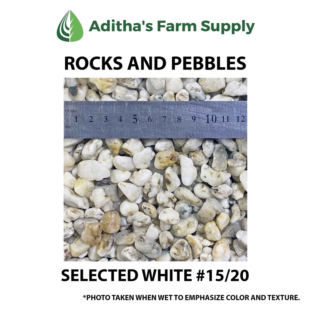 Rocks and Pebbles - 1 kilo | Shopee Philippines