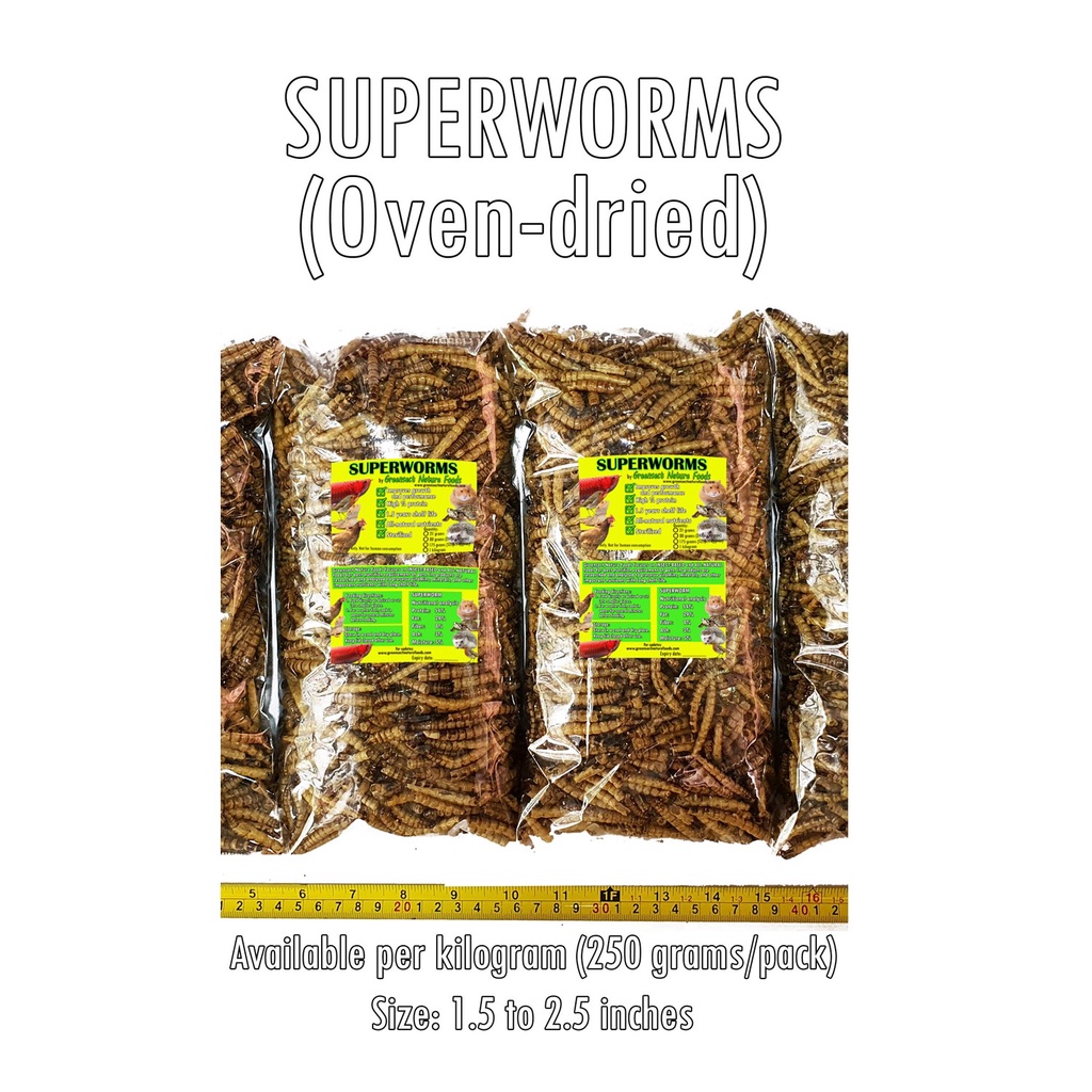 DRIED SUPERWORM (500g, 1kg) Pet Food for Fish, Birds, Hamster, Reptiles ...
