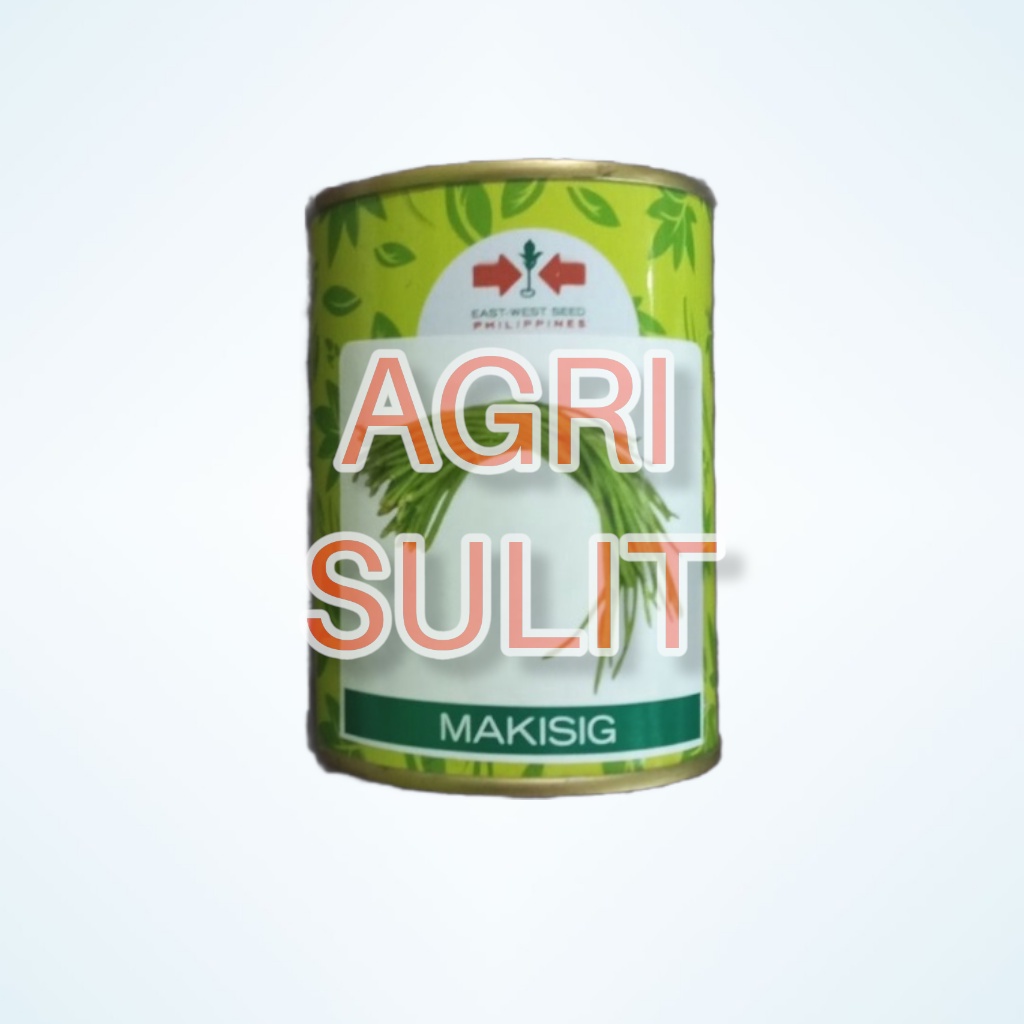 MAKISIG POLE SITAW SEEDS 100 GRAMS OR 600 SEEDS (EAST WEST) | Shopee ...