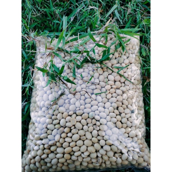 Super SOYBEAN NUTS ORIGINAL SUPER GROBOGAN 1 KG | Shopee Philippines