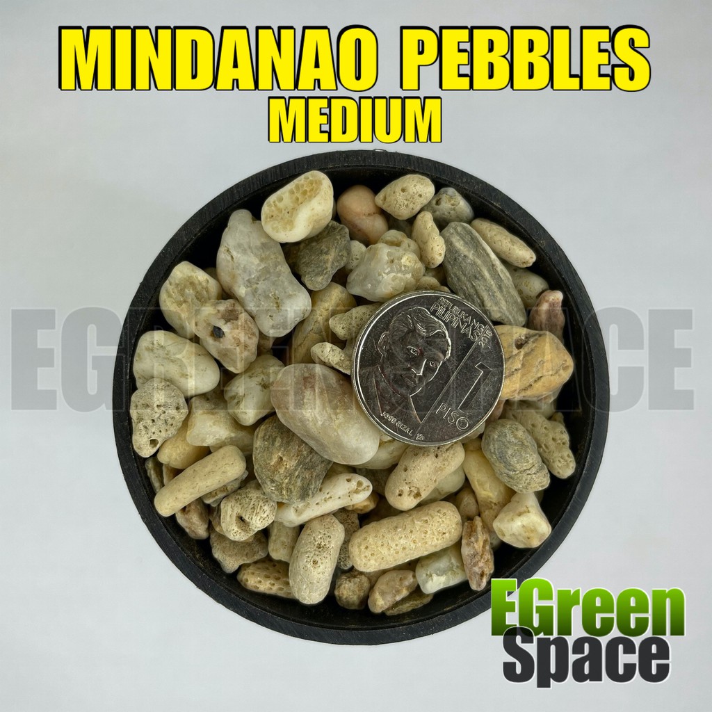 Pebbles (1 Kilo) Aquarium Stones Sand Rock | Part 1 EGreen | Shopee ...