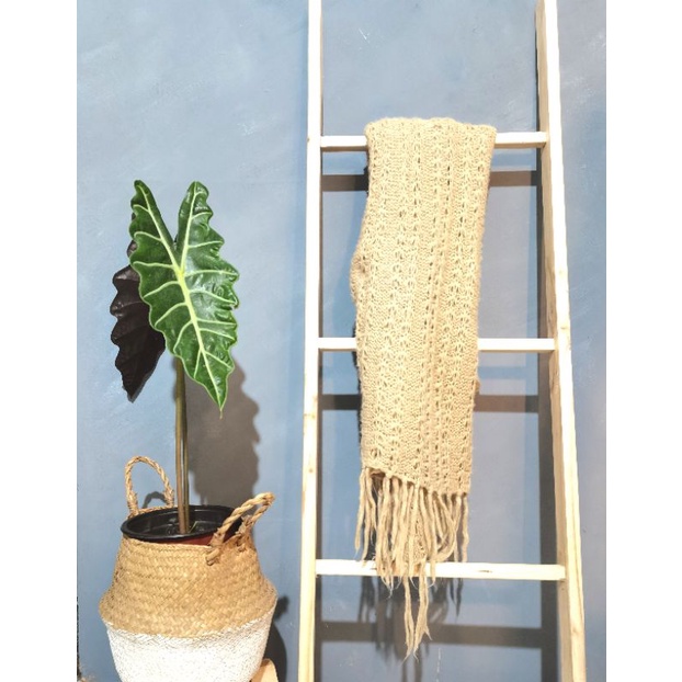 Decorative Wooden ladder rack | Shopee Philippines