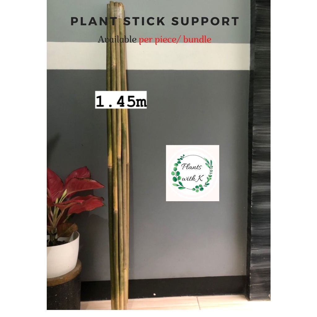 10+1FREE‼️ Plant Support, Plant Stick, Plant Stake, Base, Bamboo fence ...