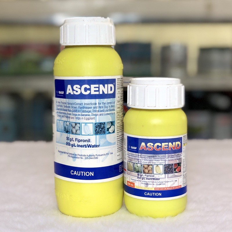 Ascend I 500mL | 250mL | Shopee Philippines