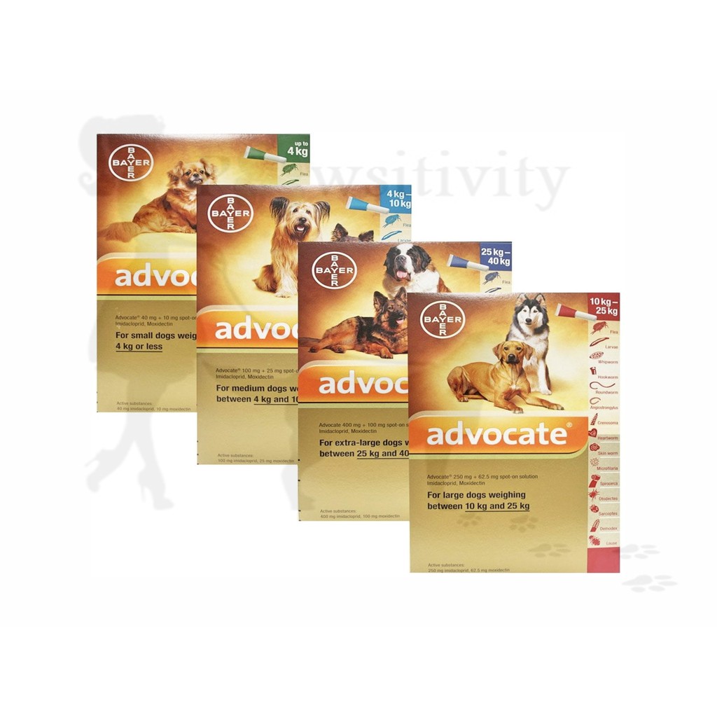 Advocate for Dogs... | Shopee Philippines