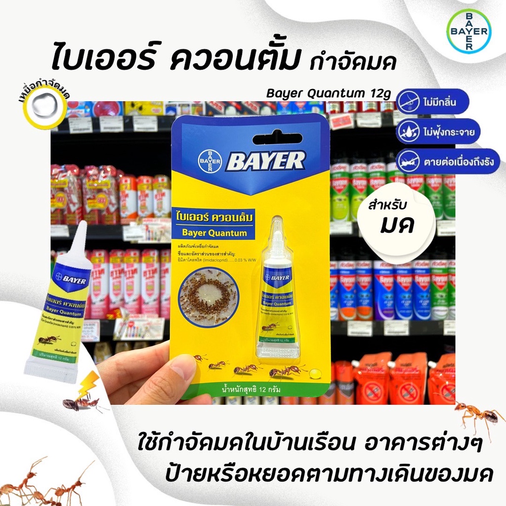 Bayer Quantum Ant Bait 12g (1016) Ants Killer Gel Kills Dead | Shopee ...