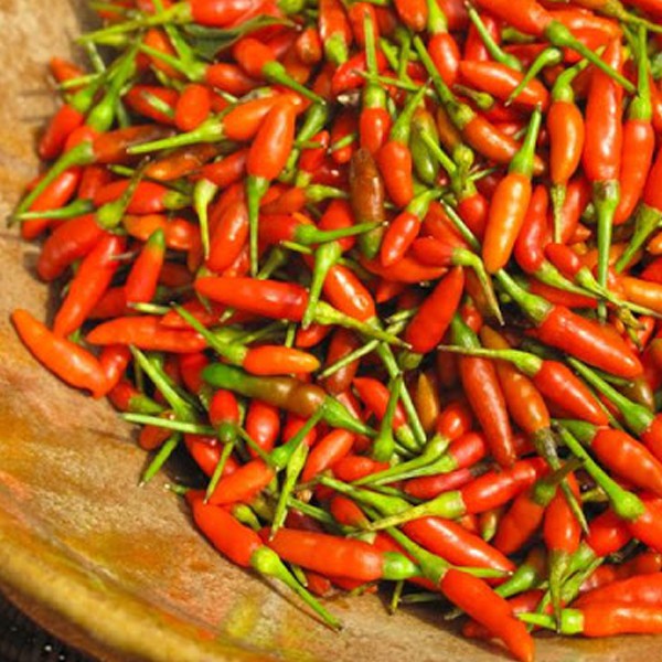 10PCS 【NEW】Mini Native Labuyo Pepper Seeds - Chili Pepper Seeds ...