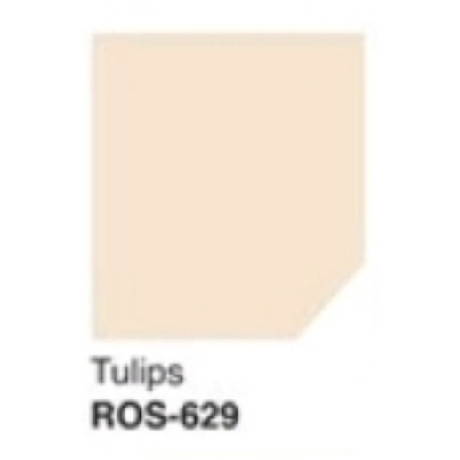 Rain or Shine Elastromeric Paint | Shopee Philippines