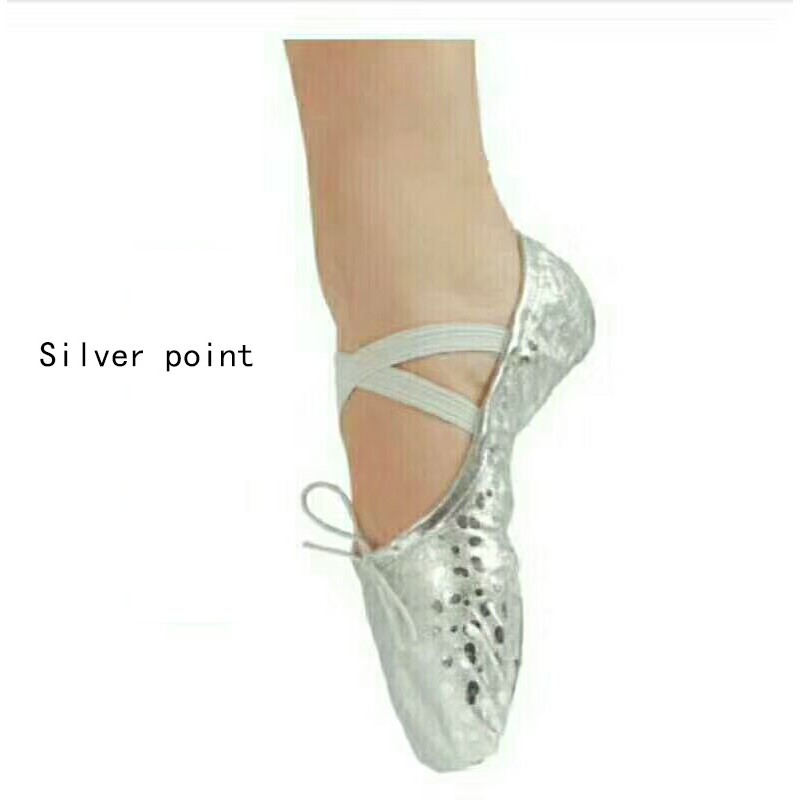Silver Point Ballet Shoes With Soft Soles for Kids and Adults Dancing ...
