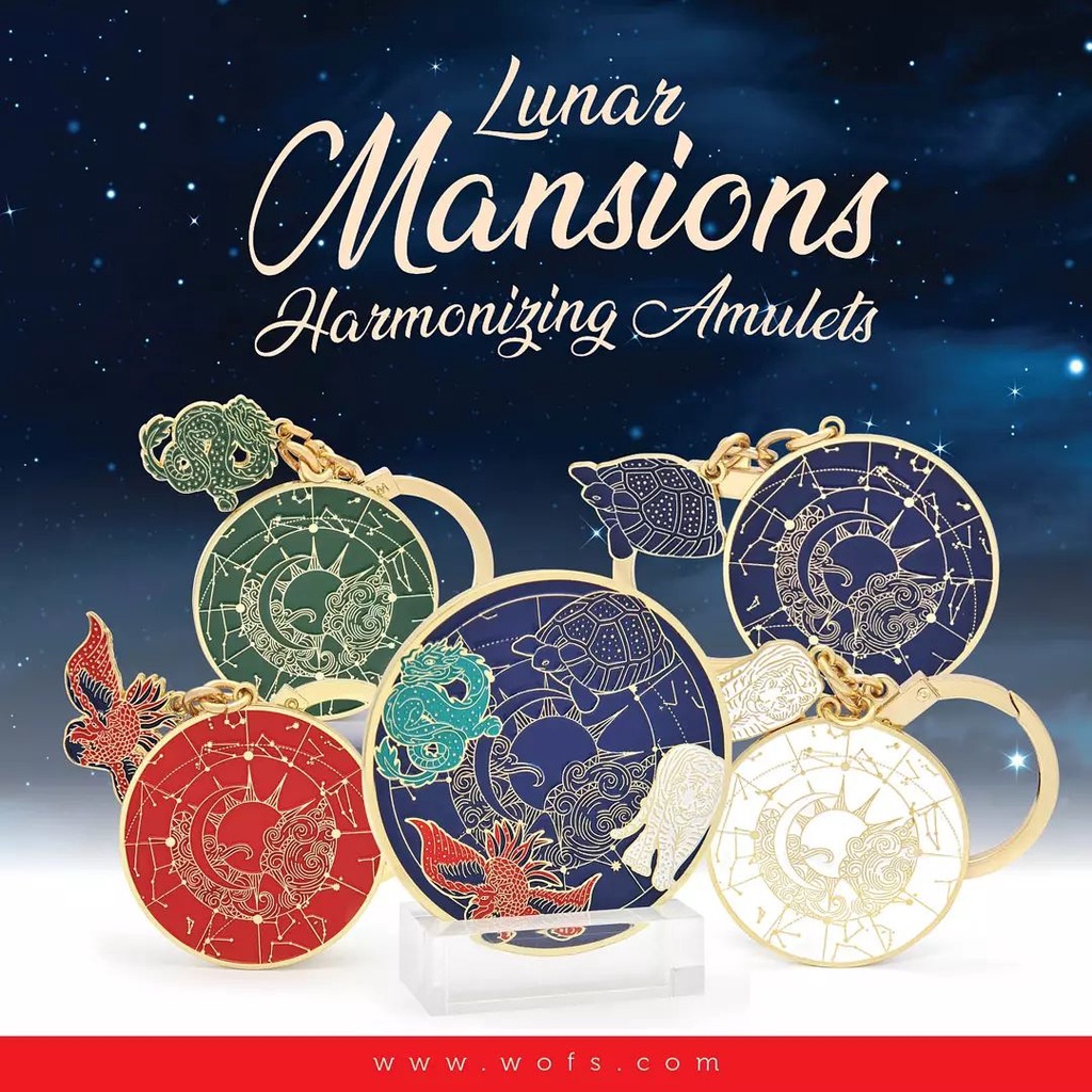 BLACK TORTOISE LUNAR MANSIONS HARMONIZING AMULET Fengshui Keychain ...