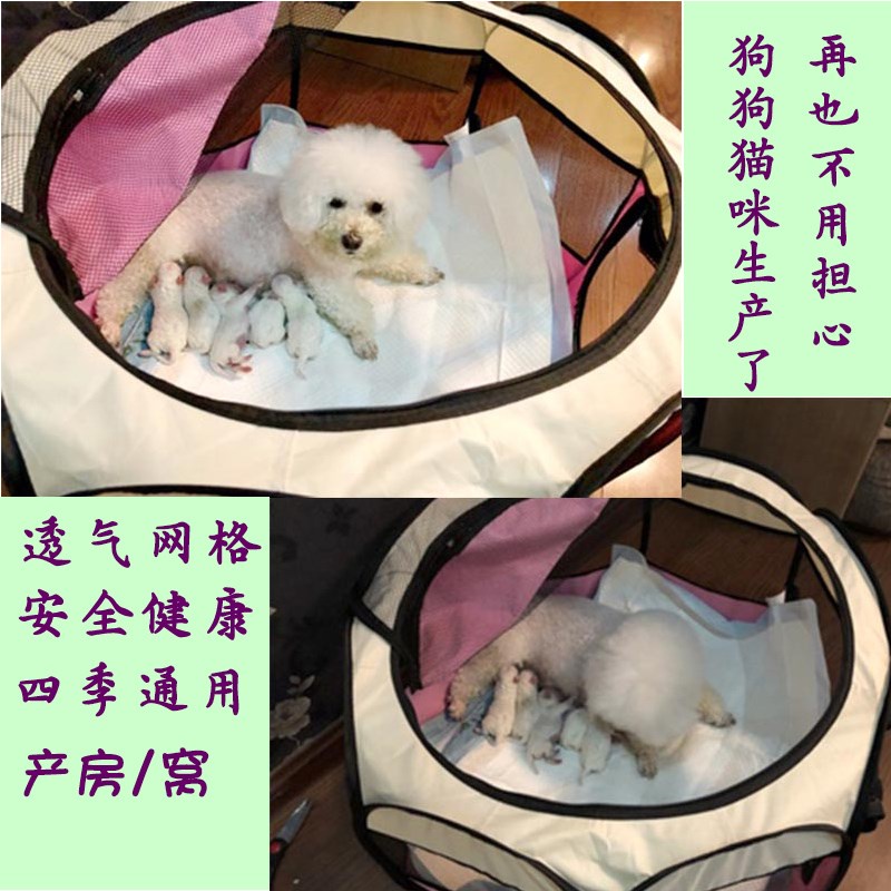 Dog delivery room nest winter breeding production nest pregnant dog ...