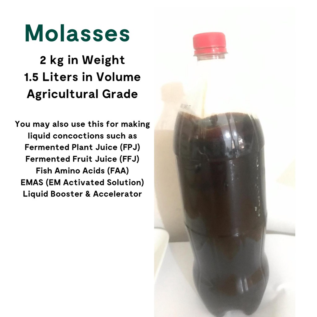 Molasses (2KG / 1.5L) Agricultural Grade – For Bokashi Pinoy Composting ...