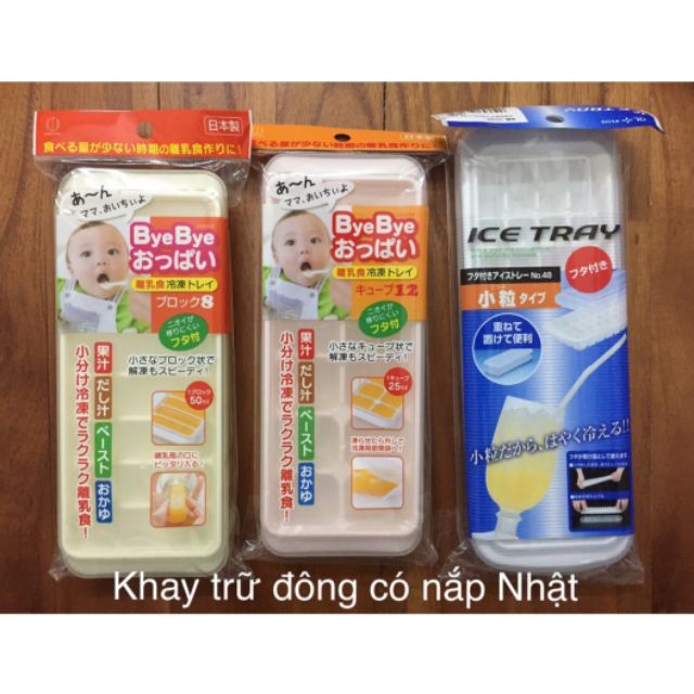 Freezer Tray With Japanese Lid | Shopee Philippines