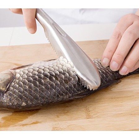 A47 COD PD Long Stainless Steel Fish Scales Remover High Quality ...