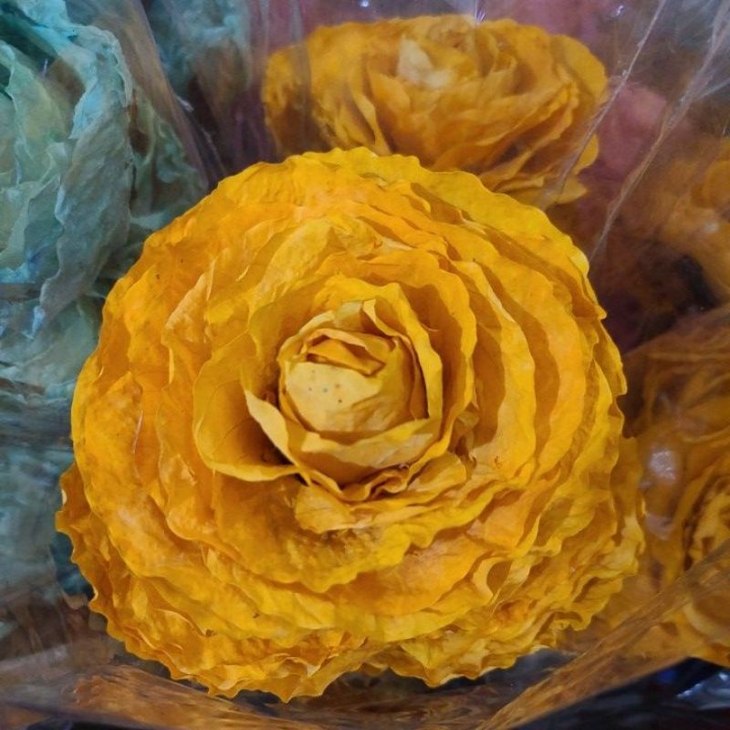 Dried FOSSILIZED Flowers (1 piece) Real Roses Gift Wedding Party Home ...