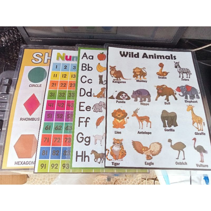 EDUCATIONAL CHARTS (8.5X11 INCHES LAMINATED) | Shopee Philippines