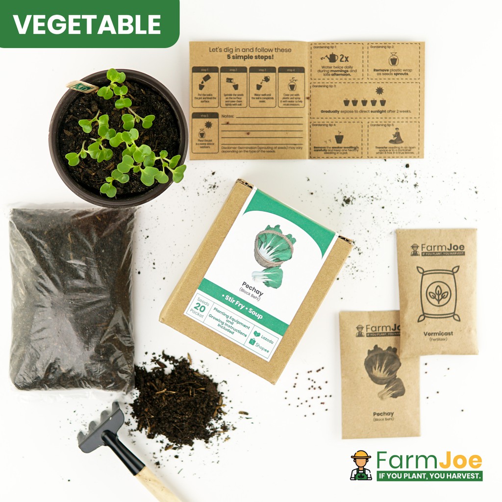 Growing Kit PECHAY • Seedling Kit • Seed Starting Kit • Grow Kit ...