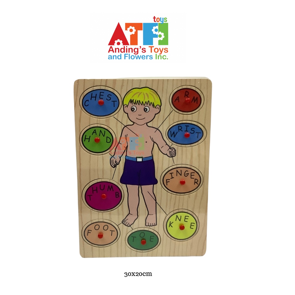 Wooden Toy Body Parts Anatomy Educational Montessori Toys Parts of the ...