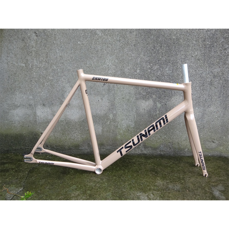 Tsunami SNM100 2021s Track Frame Set (52cm) | Shopee Philippines