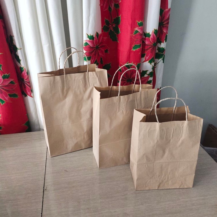 Kraft Brown Paper Bags with Handle / Brown Hand Bags | Size #1, #2, #3 ...